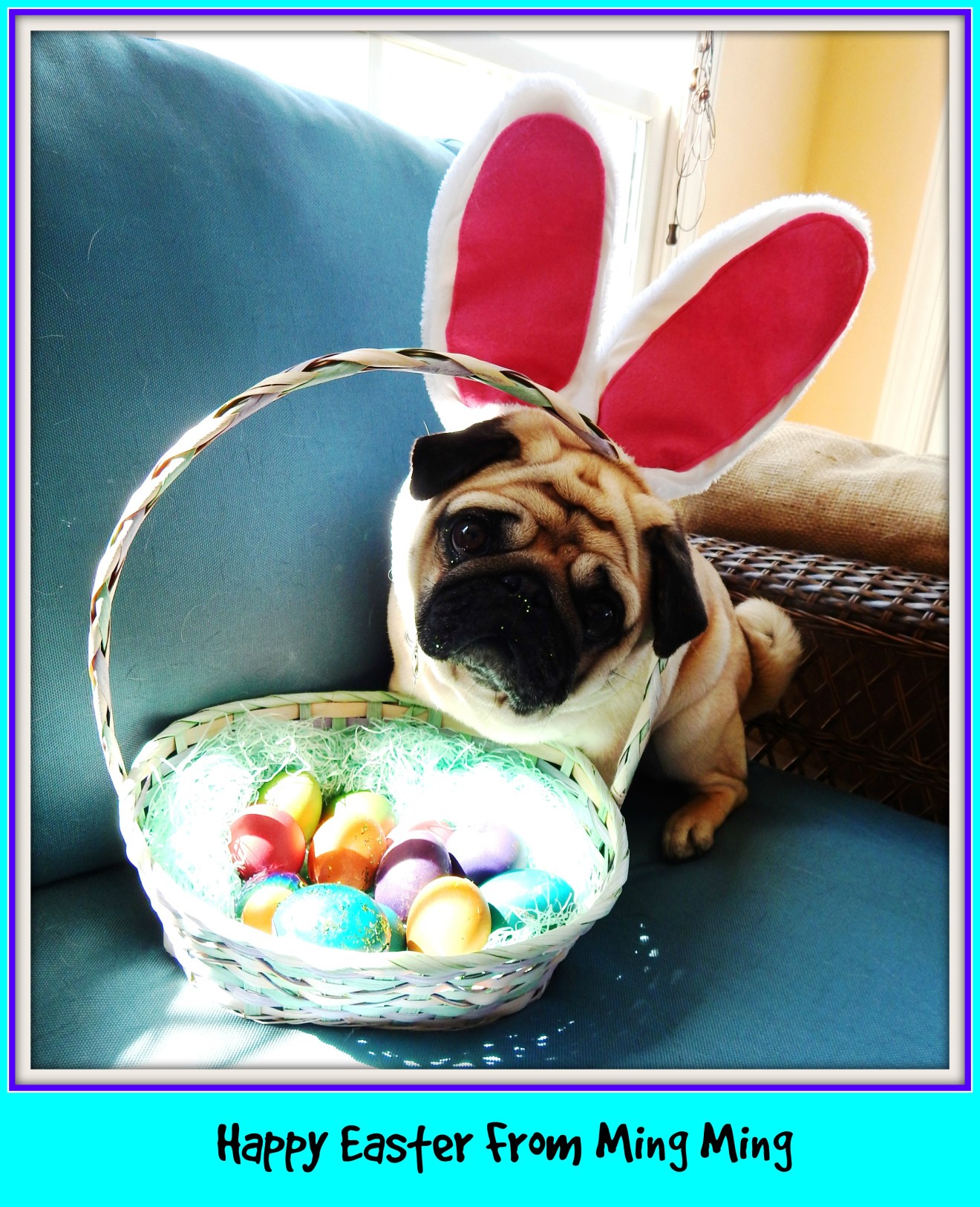 Easter Bunny Tryouts For Ming Ming! | Sam Eats Her Nutrients