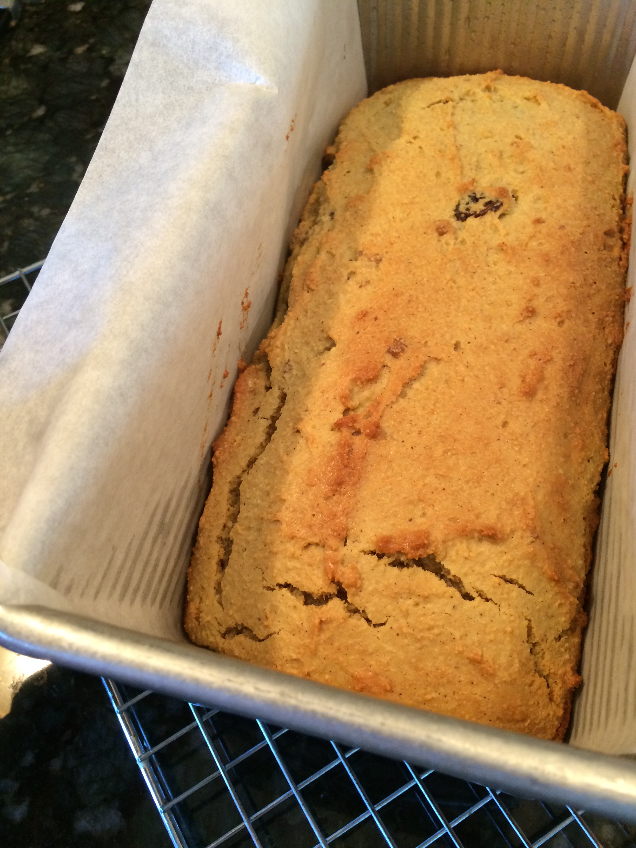 Harvest Bread (Grain Free, Toastable) | Sam Eats Her Nutrients