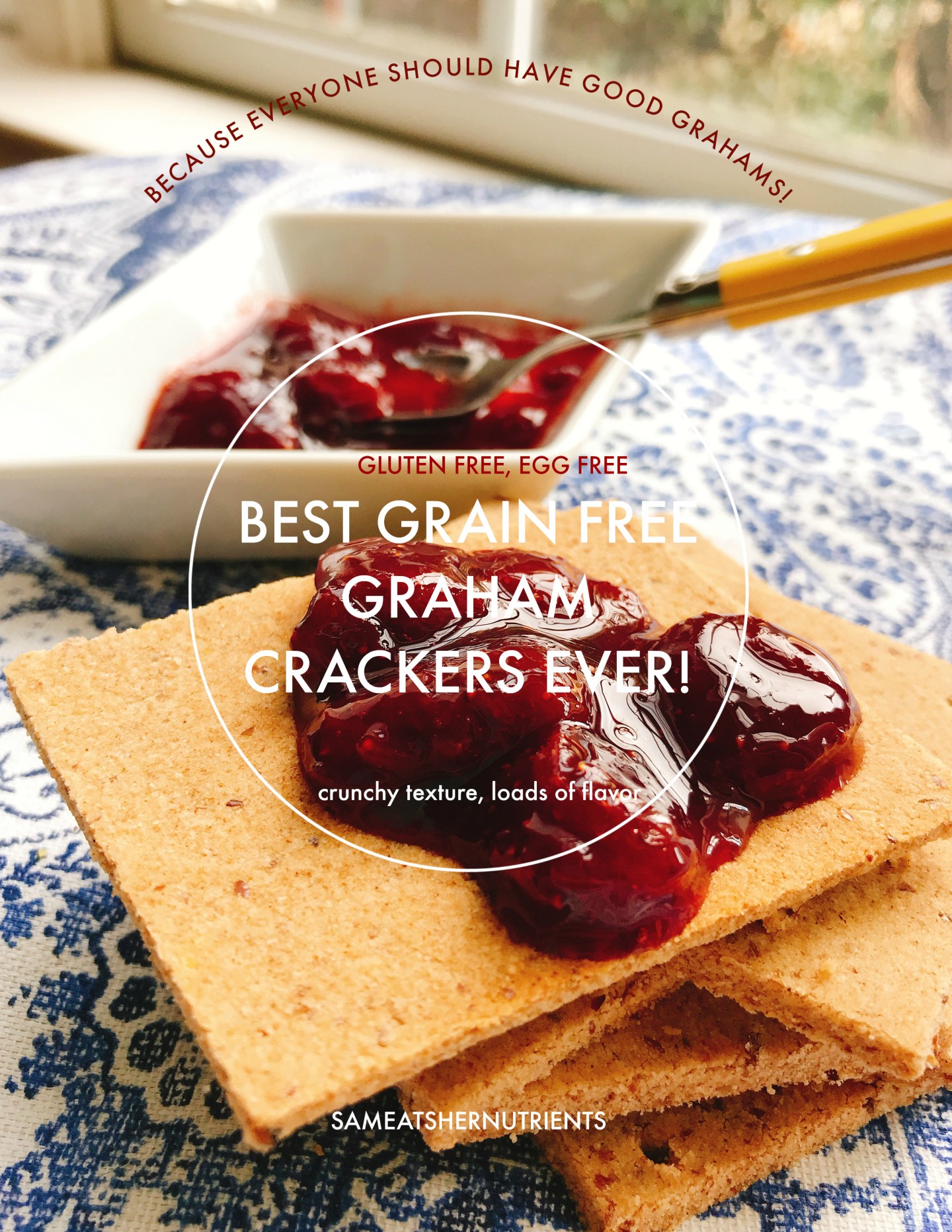 Best Grain Free Graham Cracker’s Ever! | Sam Eats Her Nutrients