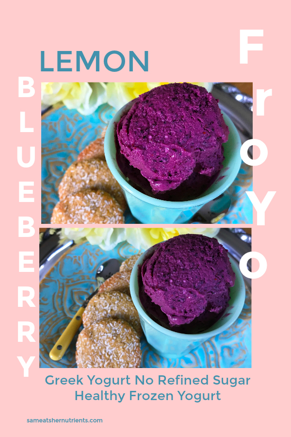 Blueberry Lemon FroYo | Sam Eats Her Nutrients