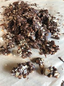 Toasted Coconut and Dark Chocolate Ice Cream | Sam Eats Her Nutrients