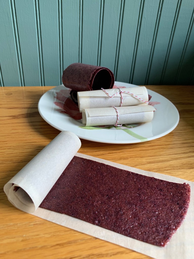 Make Your Own Blueberry Pineapple Fruit Roll Ups! | Sam Eats Her Nutrients