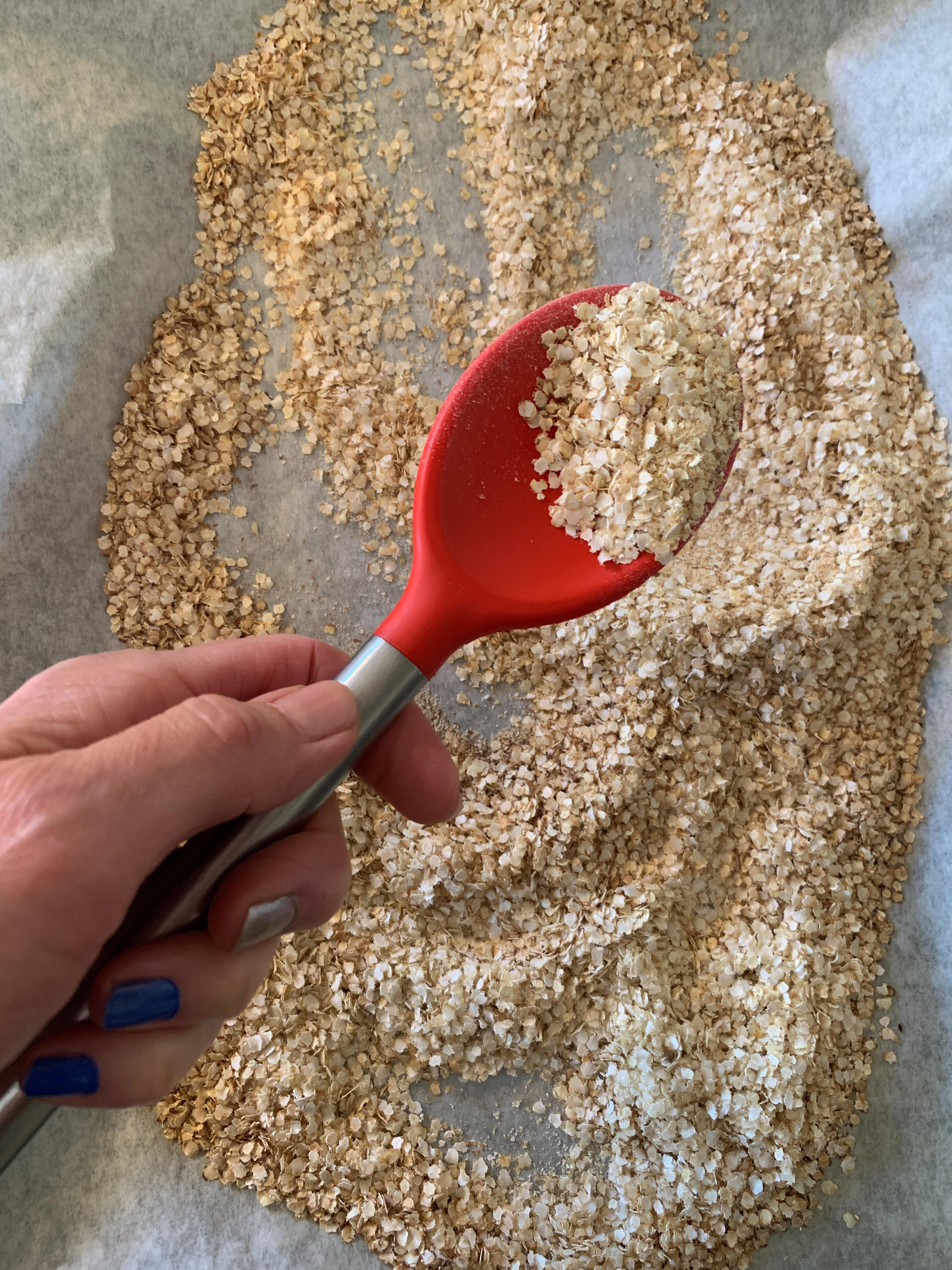 Toasted Quinoa Goji Berry Cocoa Energy Balls | Sam Eats Her Nutrients